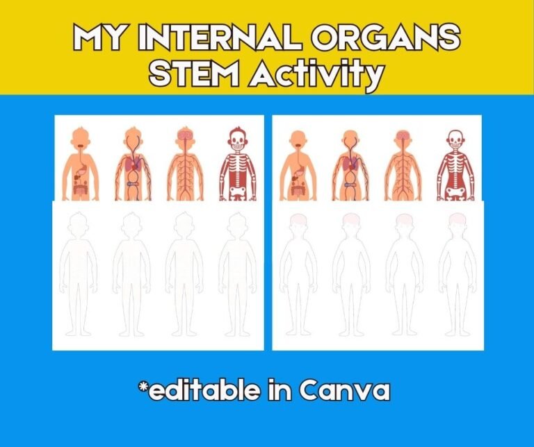 My Internal Organs – STEM Activity - Kaguro Ph