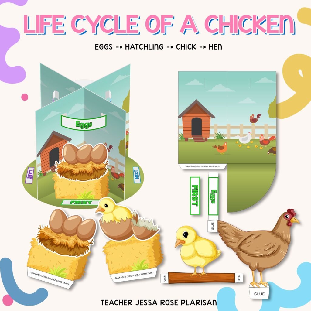 Sequence of Events / Life Cycles / Routine - Kaguro Ph
