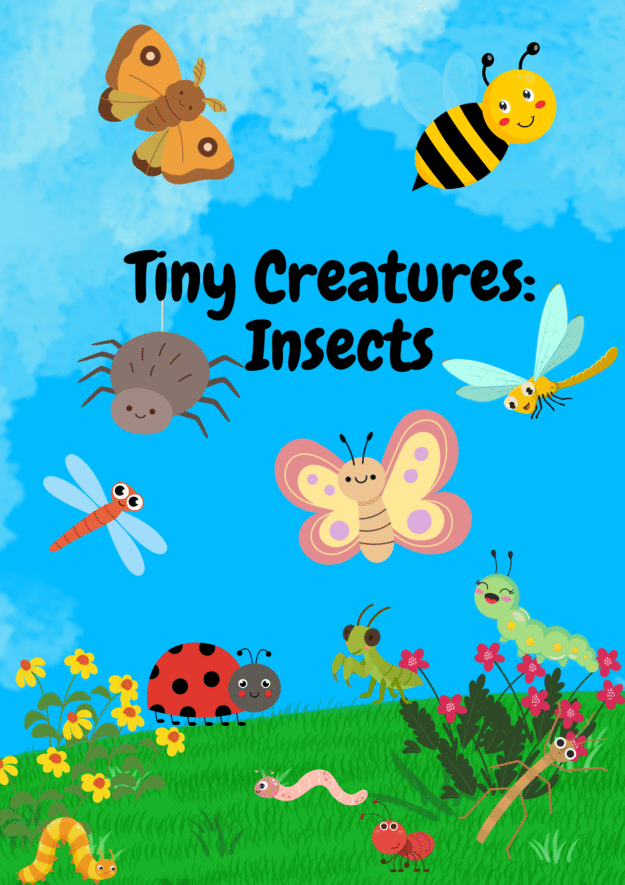 Tiny Creatures: Insects - Kaguro Ph